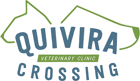 Overland Park, KS Veterinarian - Quivira Crossing Veterinary Clinic