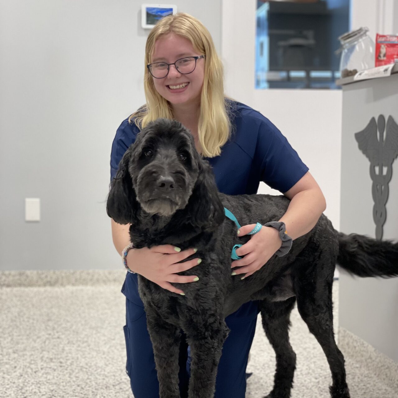 Overland Park, KS Veterinarians | Quivira Crossing Veterinary Clinic Team