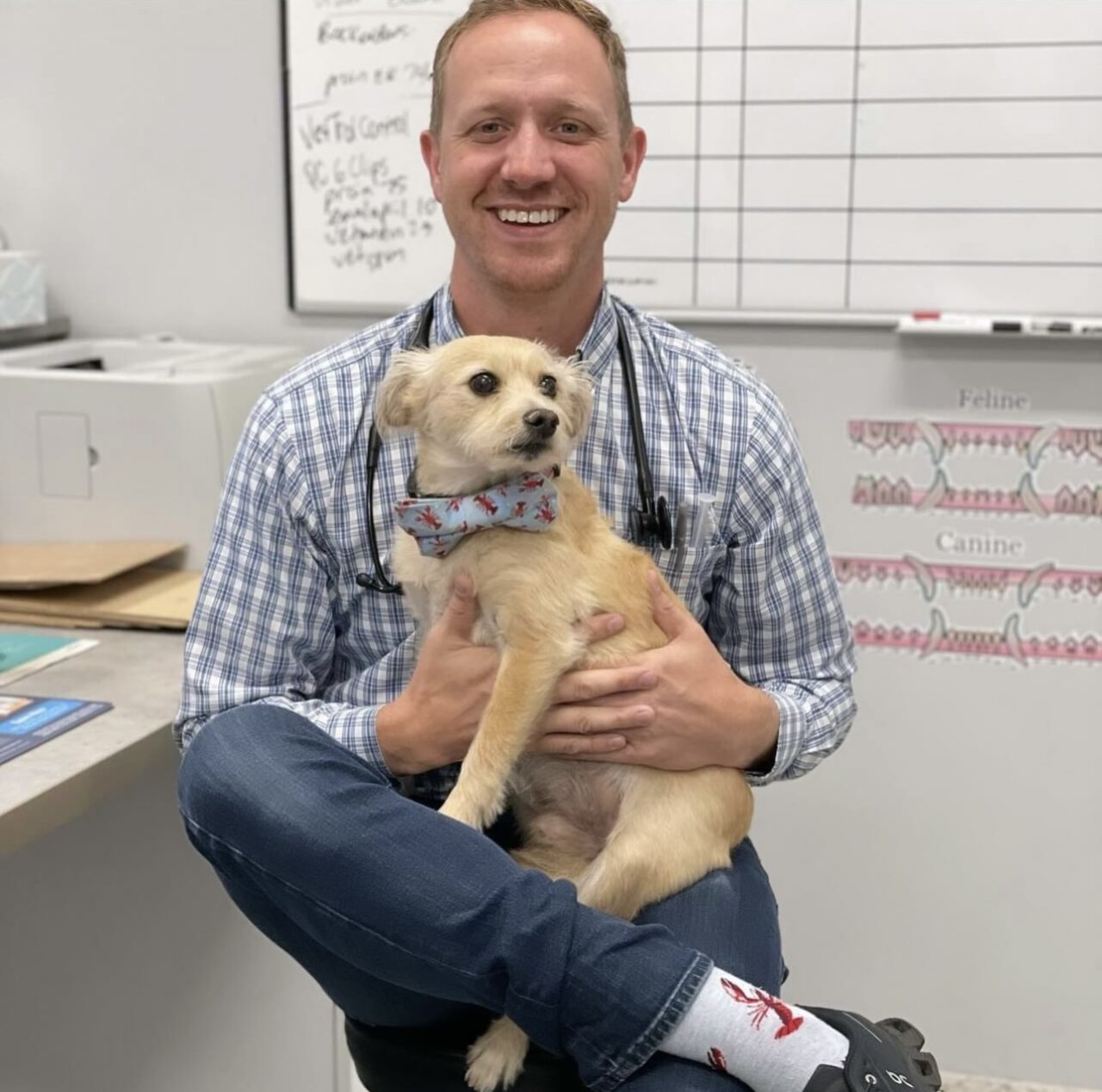 Overland Park, KS Veterinarian - Quivira Crossing Veterinary Clinic