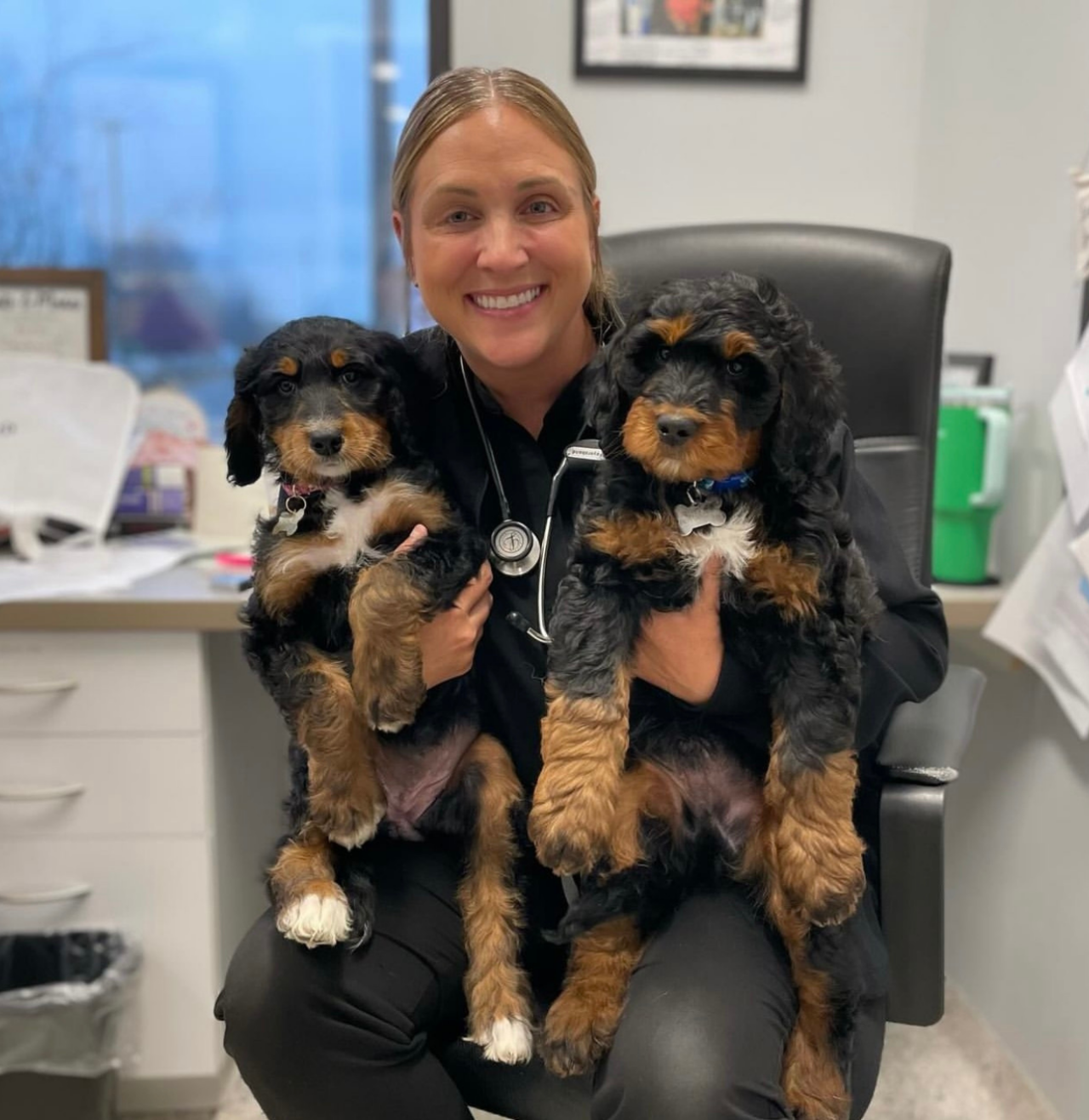 Overland Park, KS Veterinarian - Quivira Crossing Veterinary Clinic